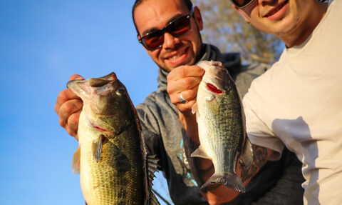 Journée et séjours de pêche - Paris Predator Fishing